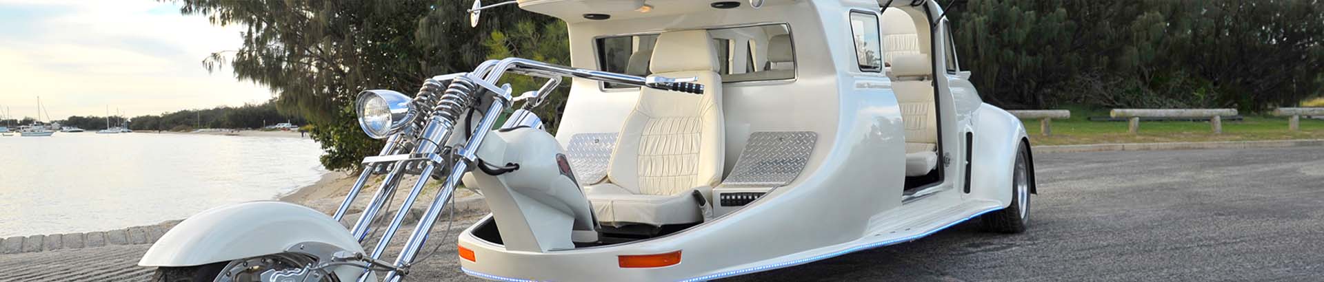 2010 CUSTOM LIMOUSINE TRIKE - JUST BIKES